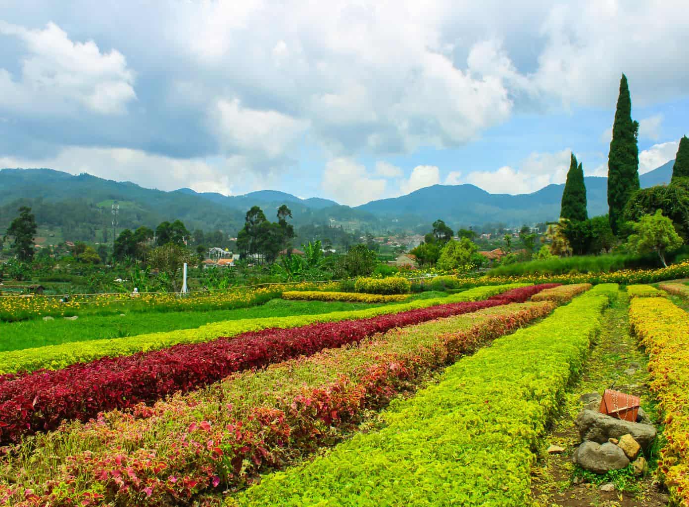 Exploring Ciwidey: A Guide to the Popular Tourist Destination in Indonesia