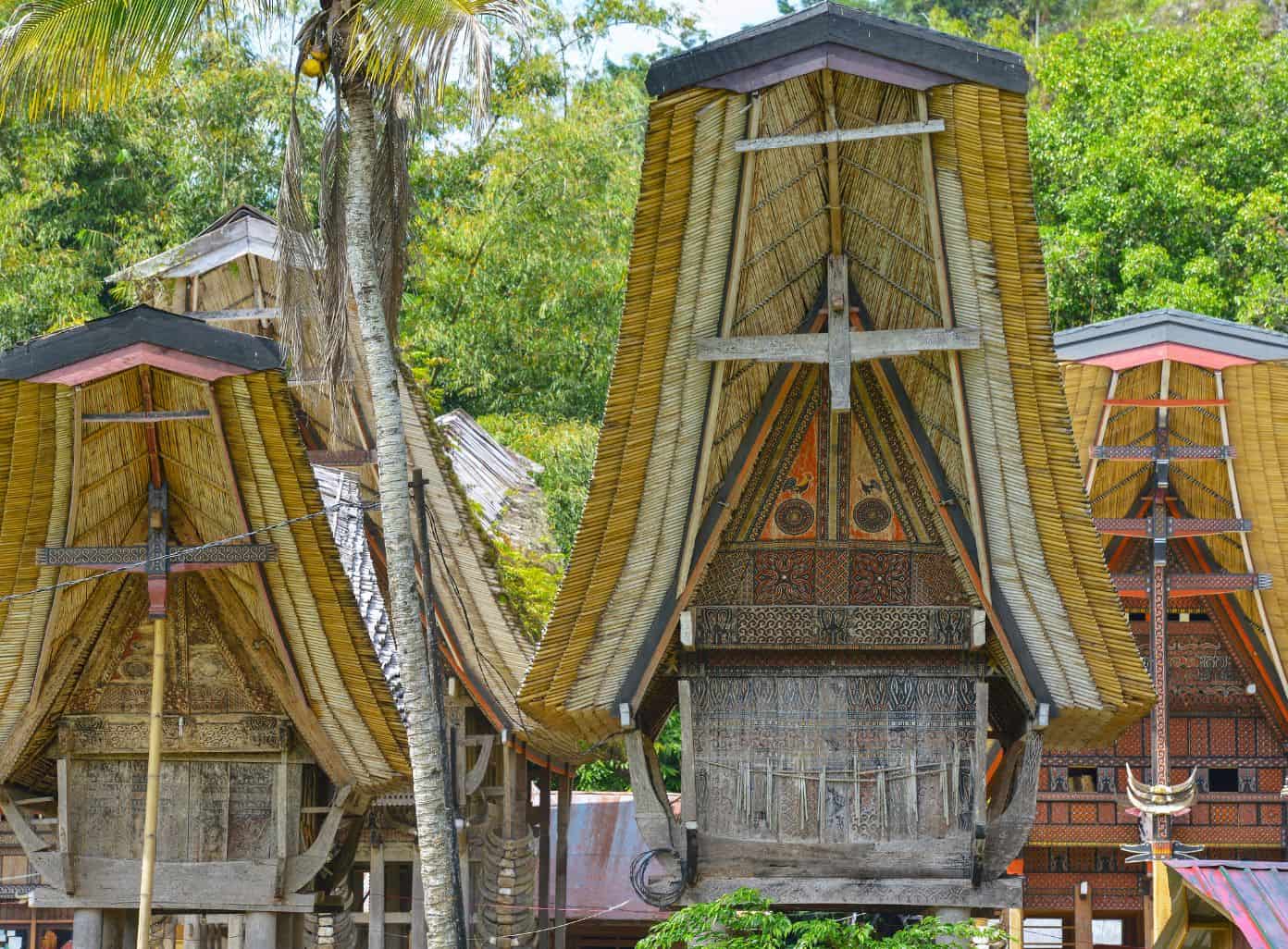 Experience the Beauty of Sulawesi with Our Tours